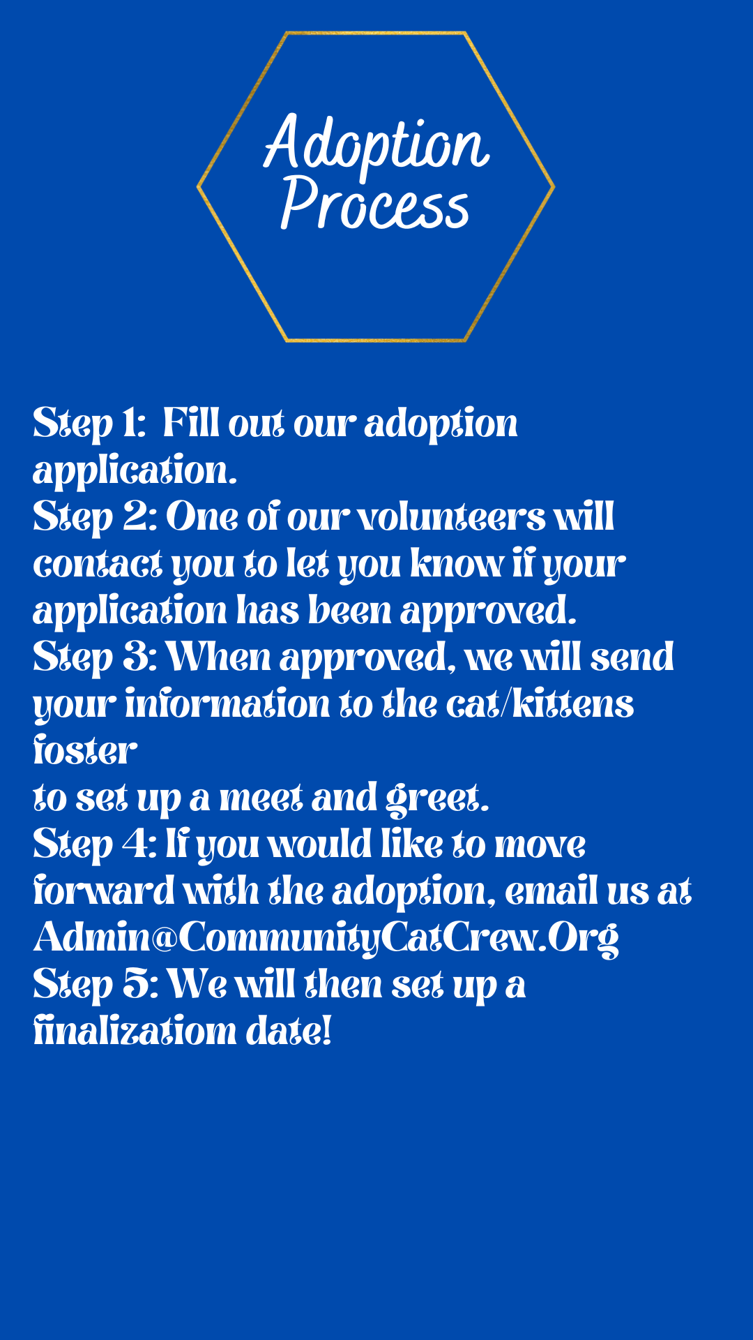 Adopt – Community Cat Crew