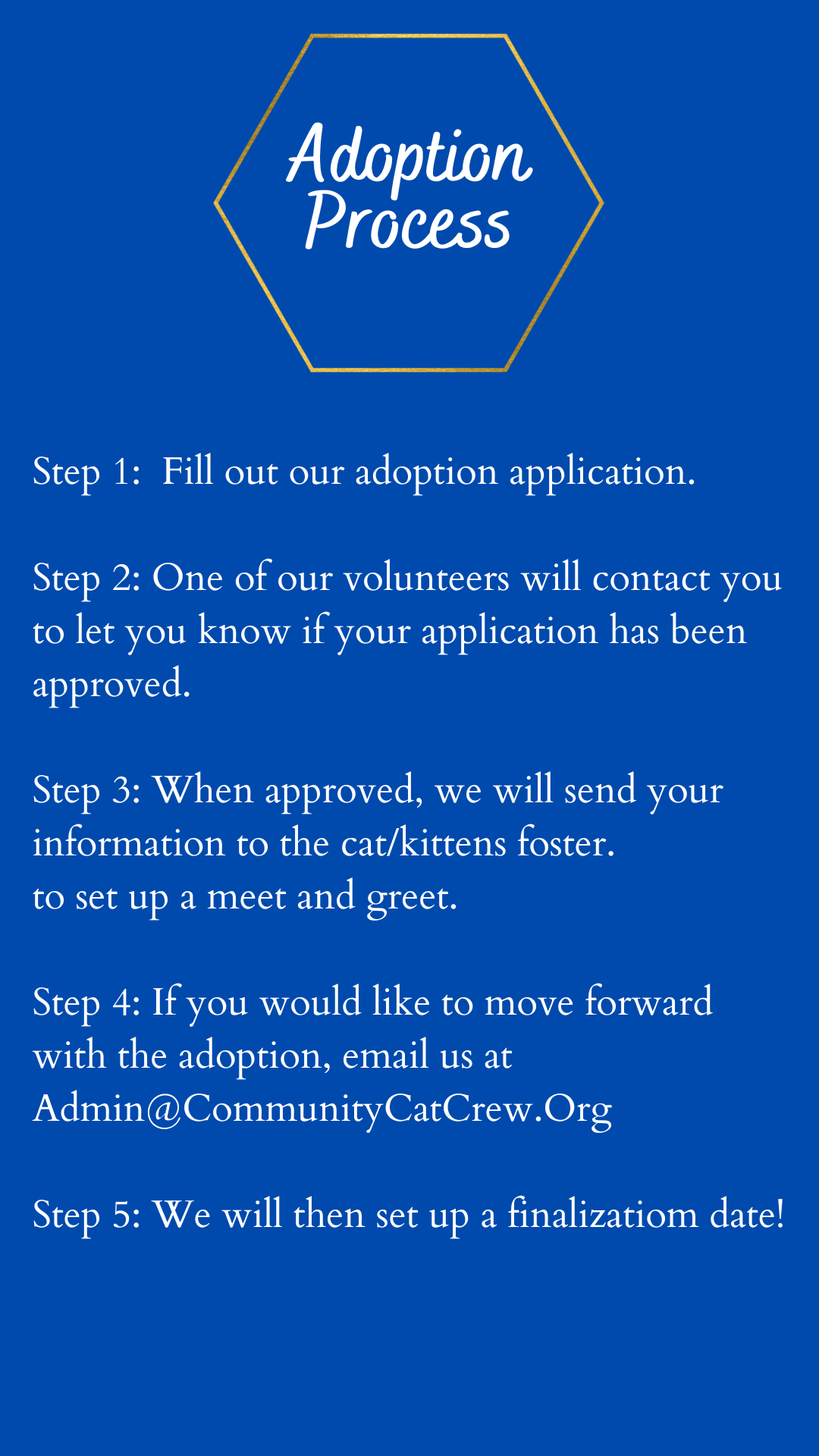 Adopt – Community Cat Crew