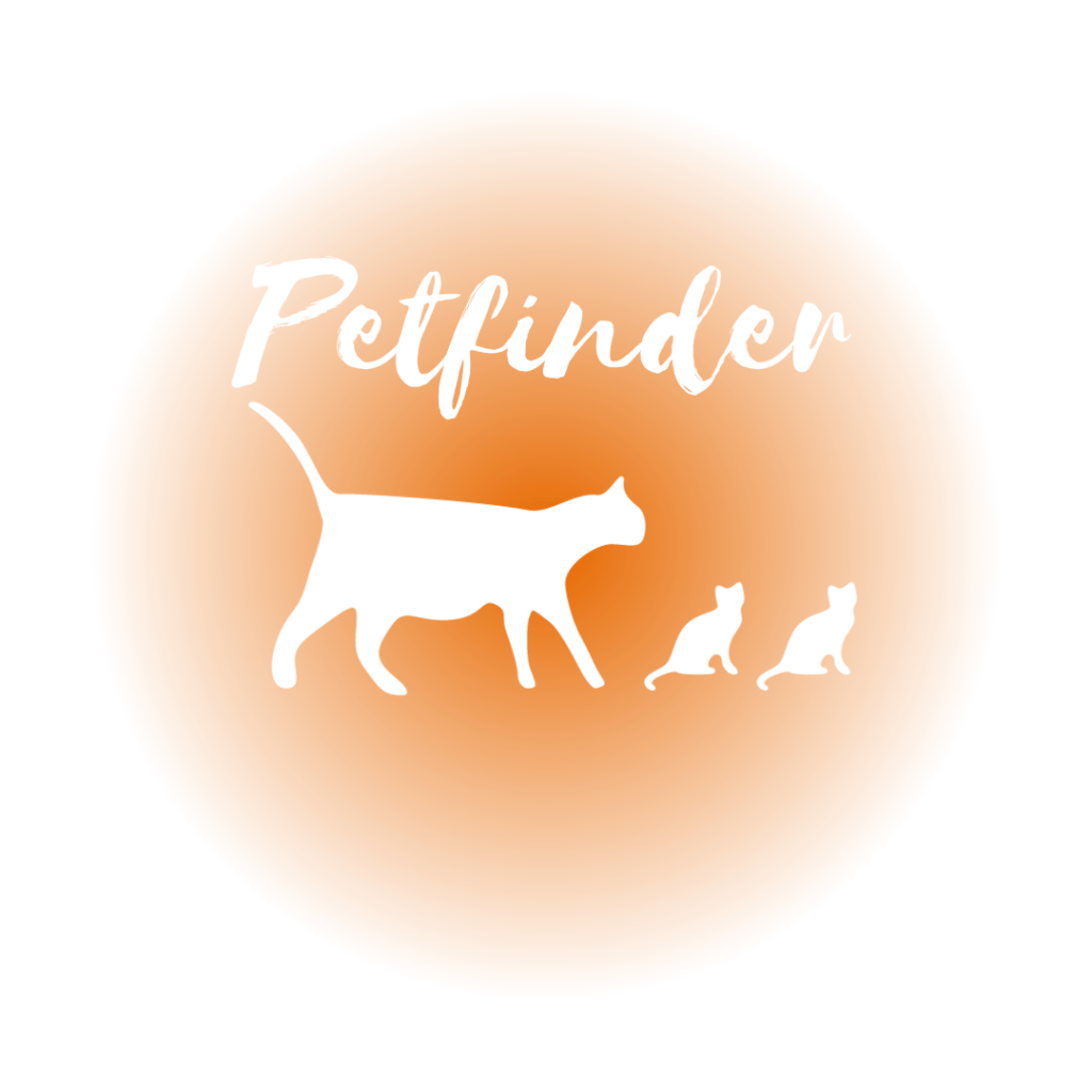 Adopt – Community Cat Crew