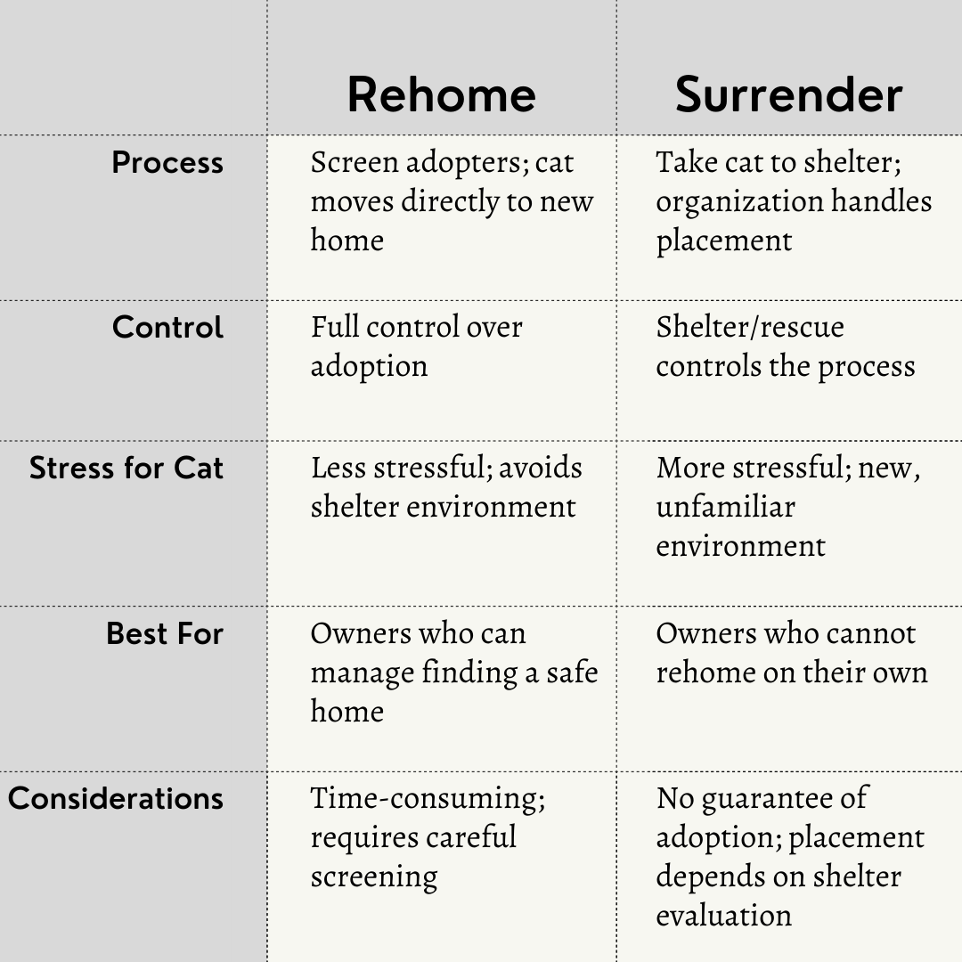 Your paragraph text (20) – Community Cat Crew
